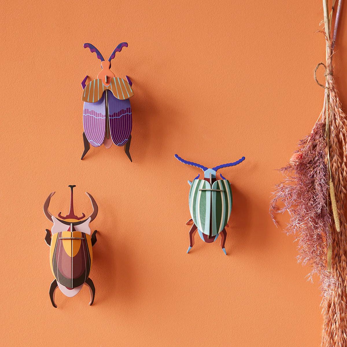 Studio Roof: Wall Art Beetles (B7) - Elephant Beetle – Monsterthreads