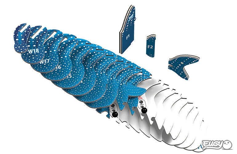 Eugy 3D Paper Model: Whale Shark – Monsterthreads