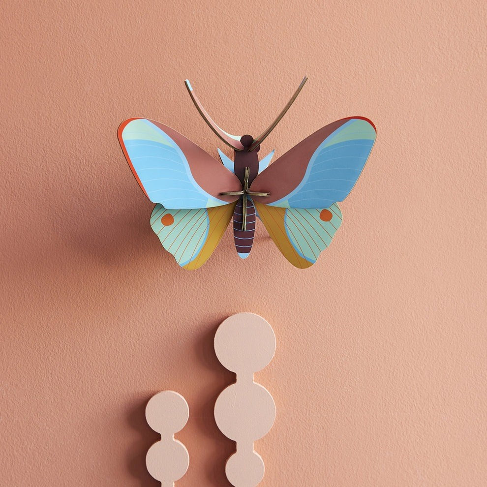 Studio Roof: Wall Art Butterflies (B7) - Claudina Butterfly ...