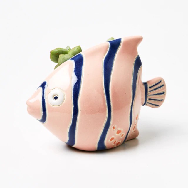 Jones & Co: Dory Planter – Monsterthreads