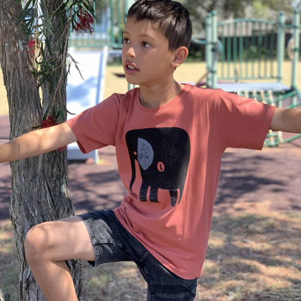 Elephant+Bird Ginger Spice Kids Tee – Monsterthreads